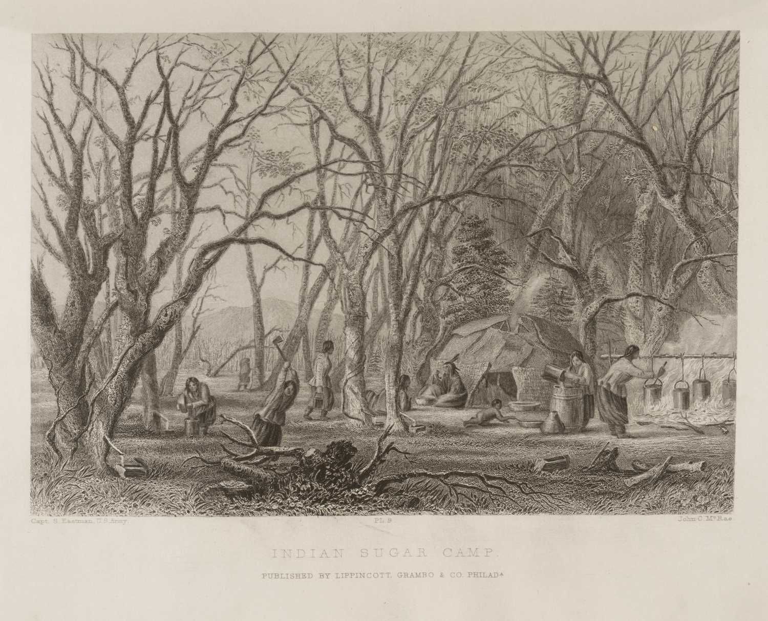 Sugaring and Spring - UMN Libraries News & Events