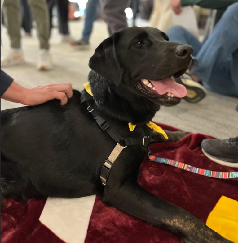 Study space and service updates due to Walter Library closure - UMN ...